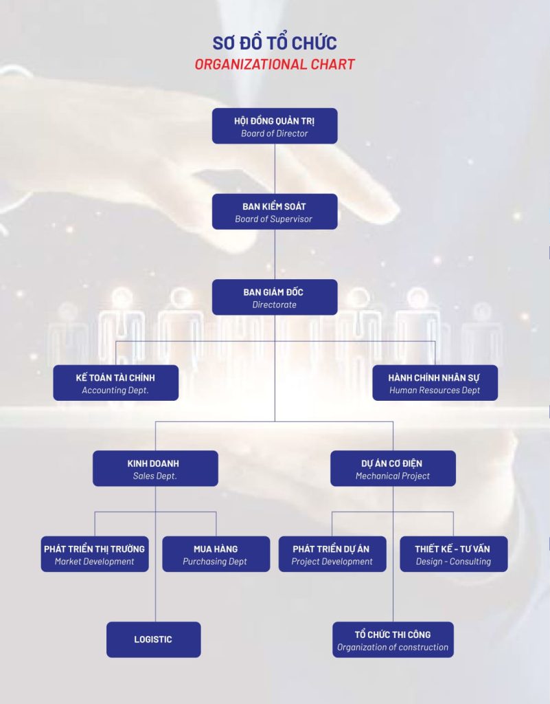 Company organization chart – Rita Viet Nam